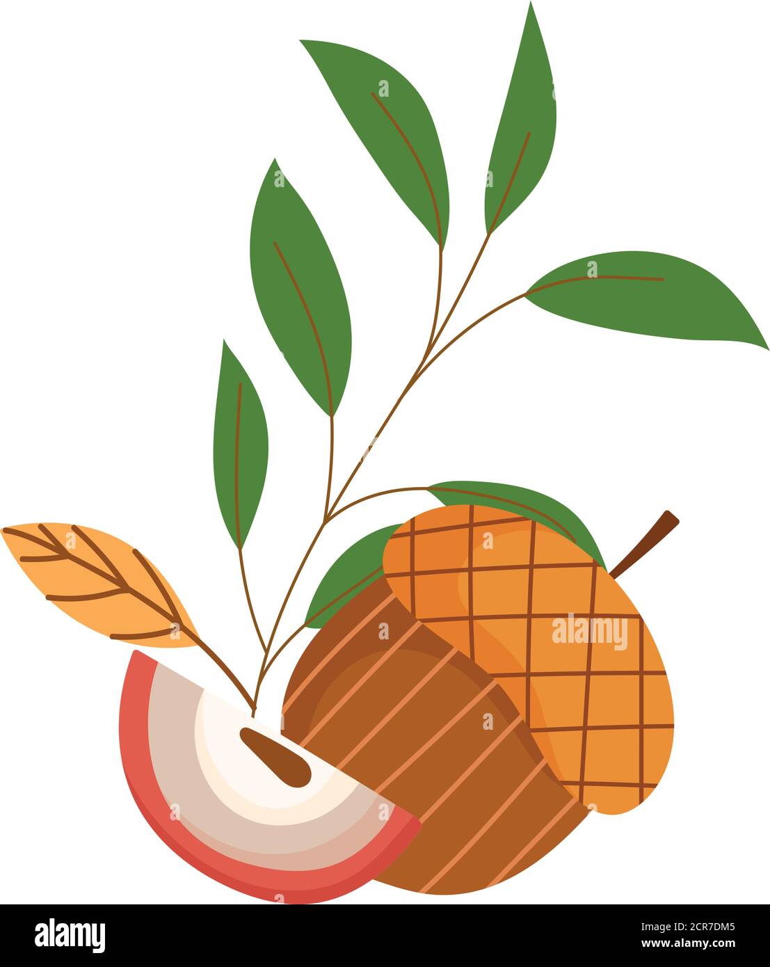 autumn apple acorn leaves isolated design white background vector ...