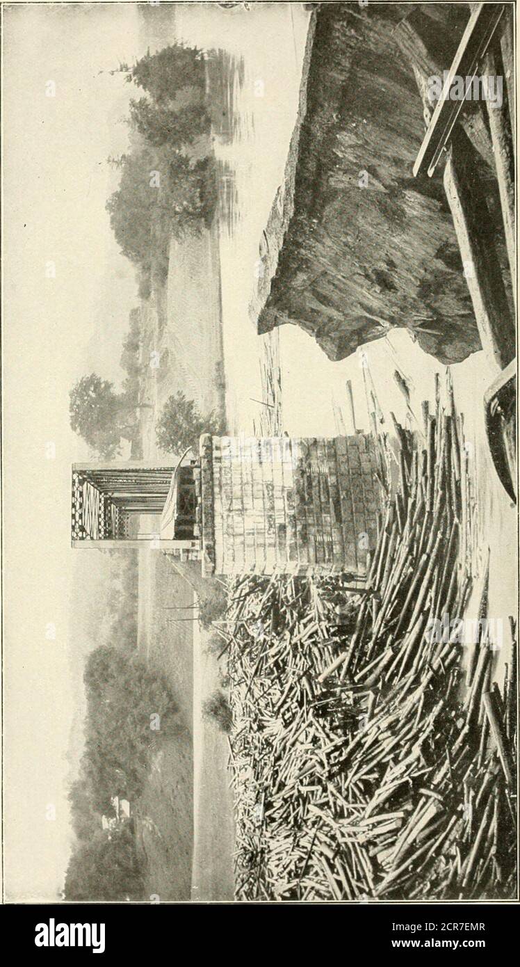 . Intensive farming and use of dynamite . lowing farms andtowns, and ...