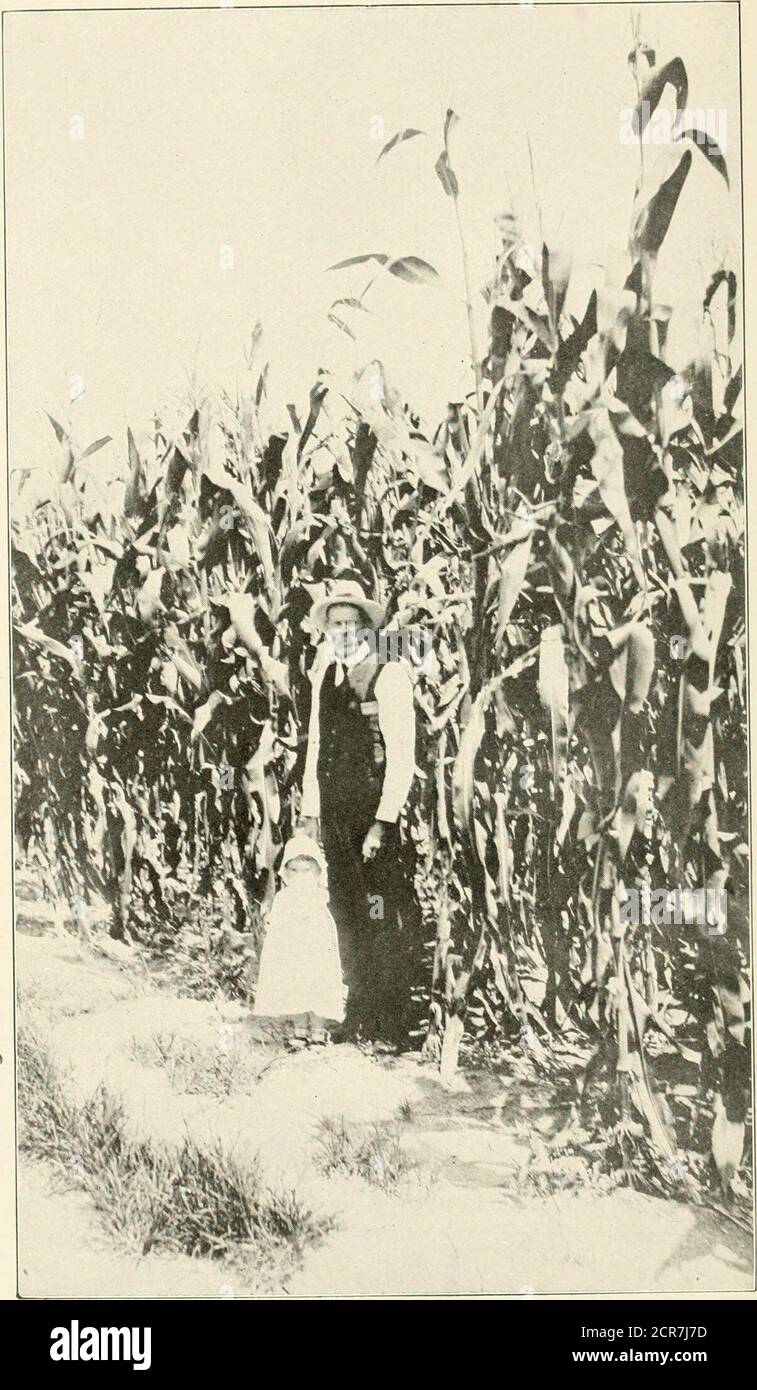 . Intensive farming and use of dynamite . e soil underlaid by an imper ...