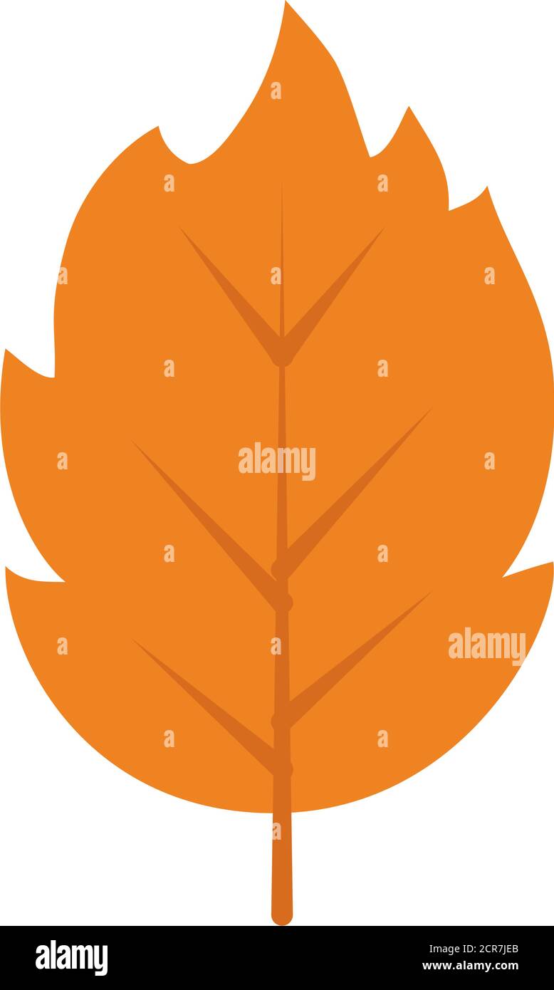 dry leaf icon over white background, flat style, vector illustration ...