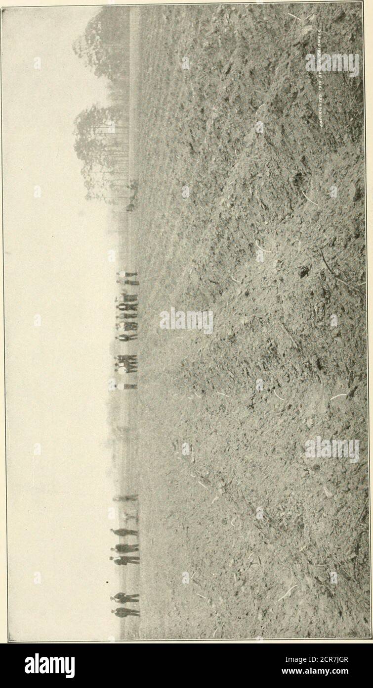 . Intensive farming and use of dynamite . GETTING THE FARM IN SHAPE The ...