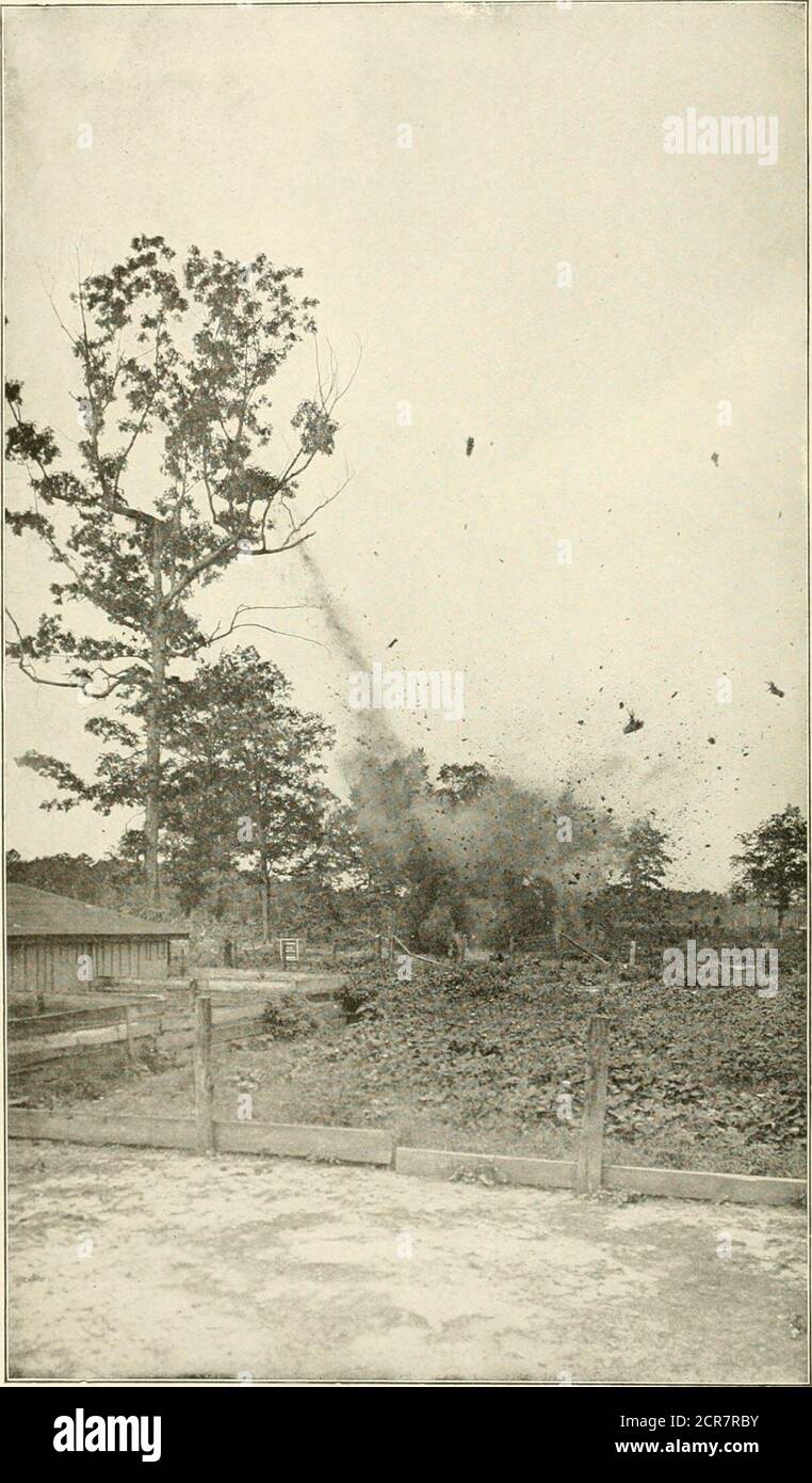 . Intensive farming and use of dynamite . ill often befound easy to ...