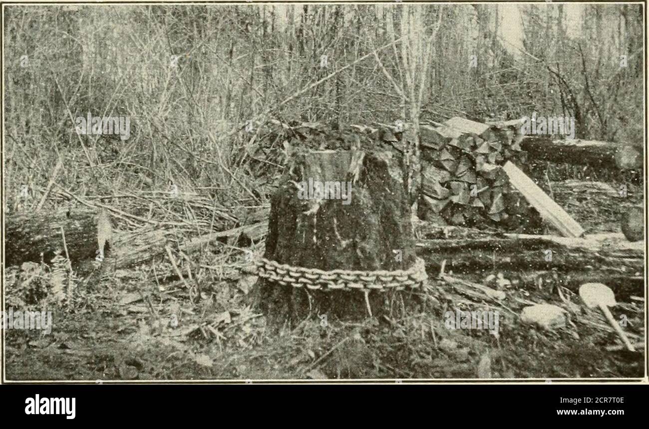 Littleand large hi-res stock photography and images - Alamy