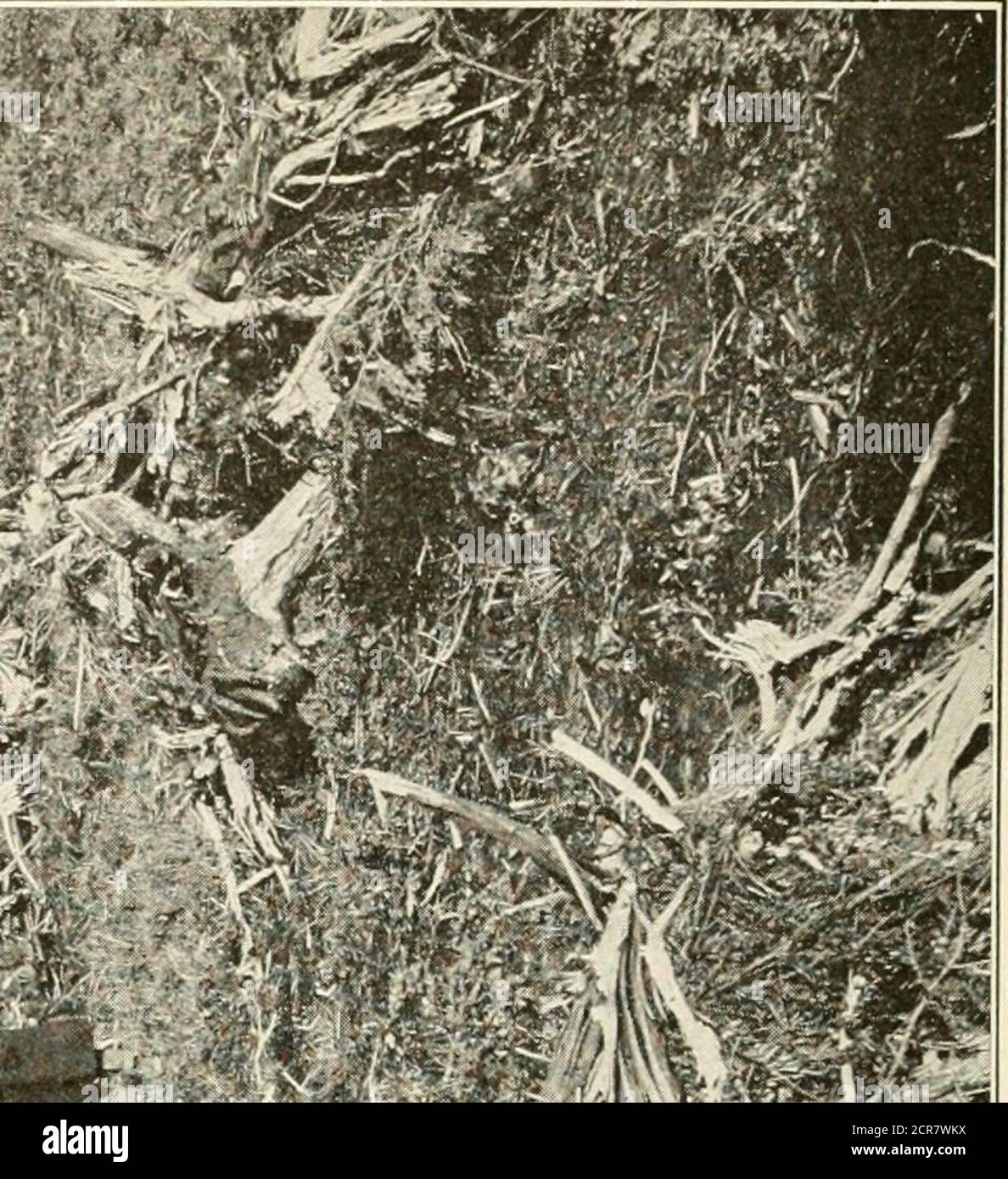 . Intensive farming and use of dynamite . mm^SR Stock Photo - Alamy