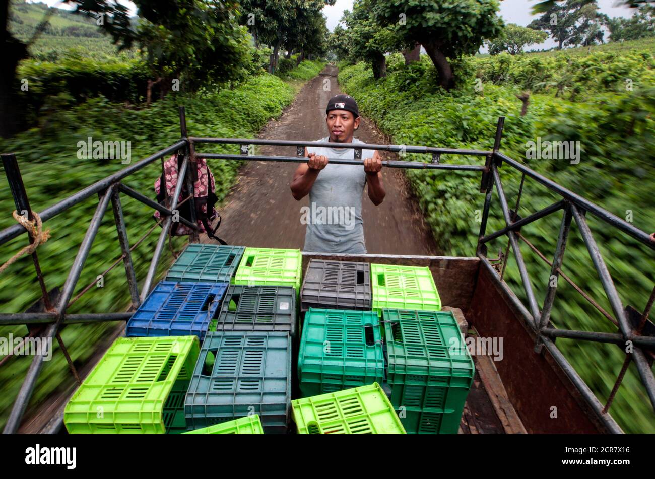 Transporting fruits truck hi-res stock photography and images - Alamy