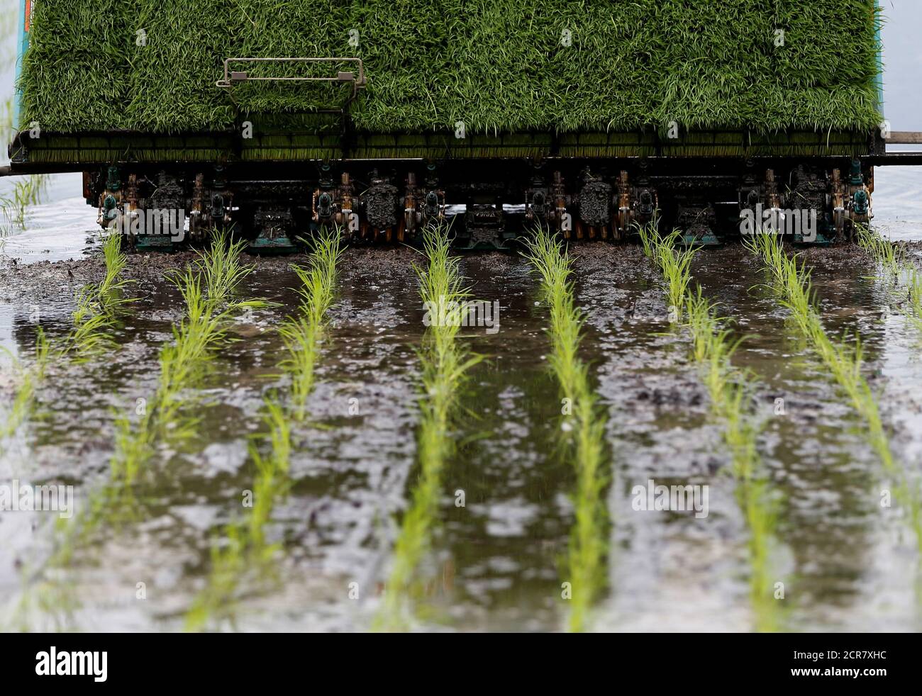 Planting machine hi-res stock photography and images - Alamy