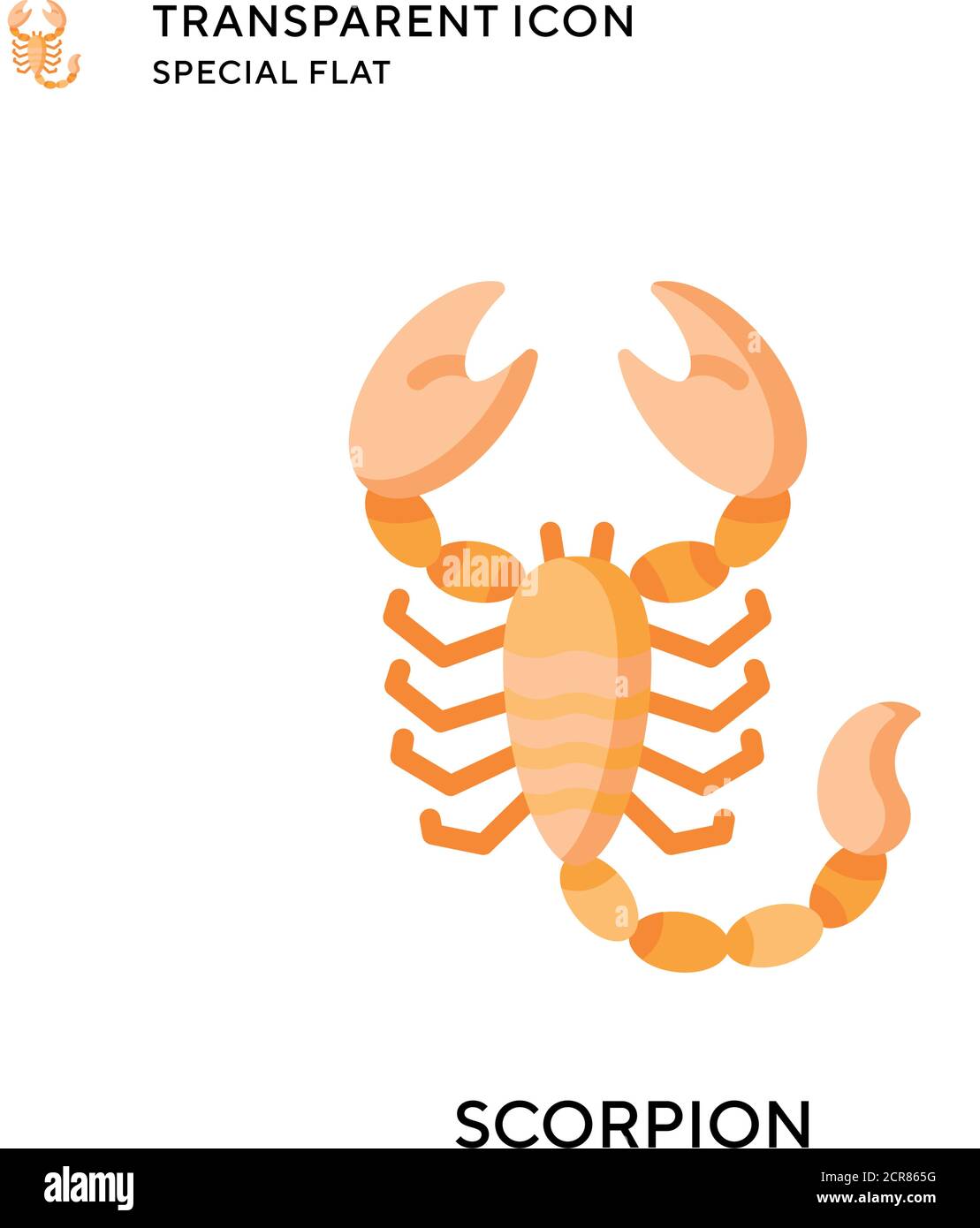 Arachnid photography Stock Vector Images - Alamy