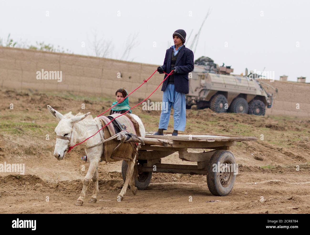 Donkey drawn cart hi-res stock photography and images - Alamy