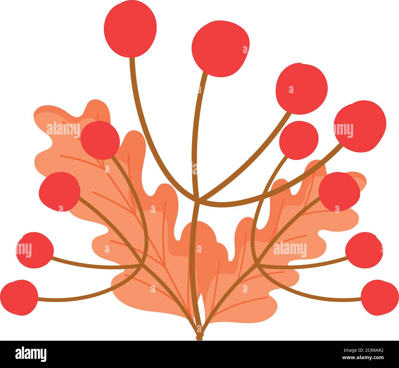 autumn berries leaves foliage isolated design white background vector ...