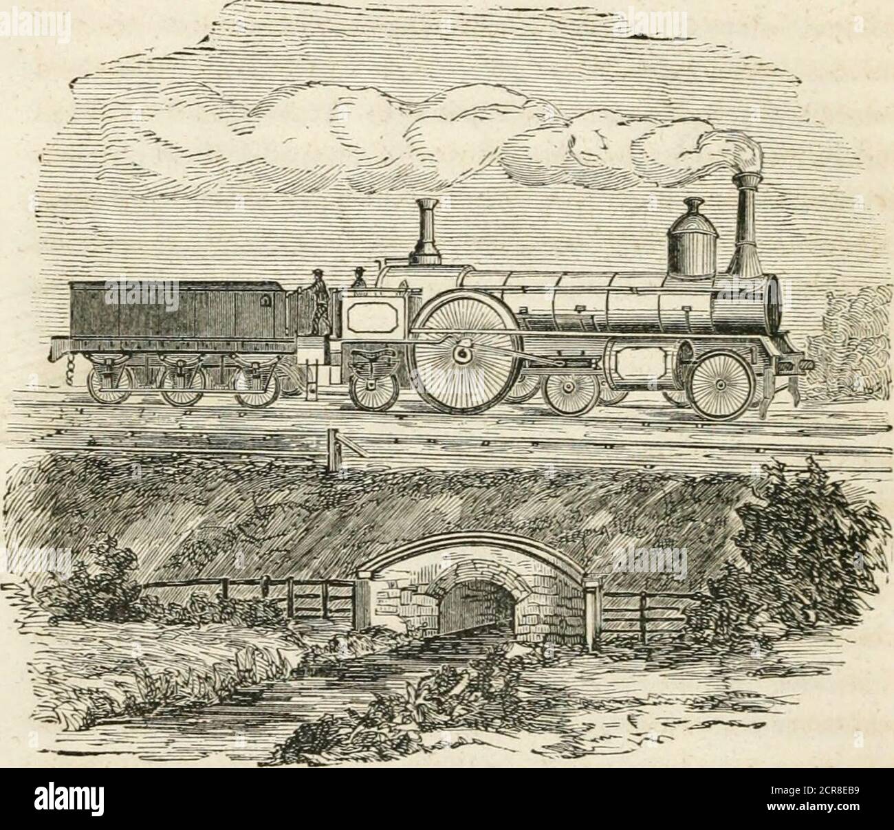 Bookidlifeofgeorge hi-res stock photography and images - Alamy