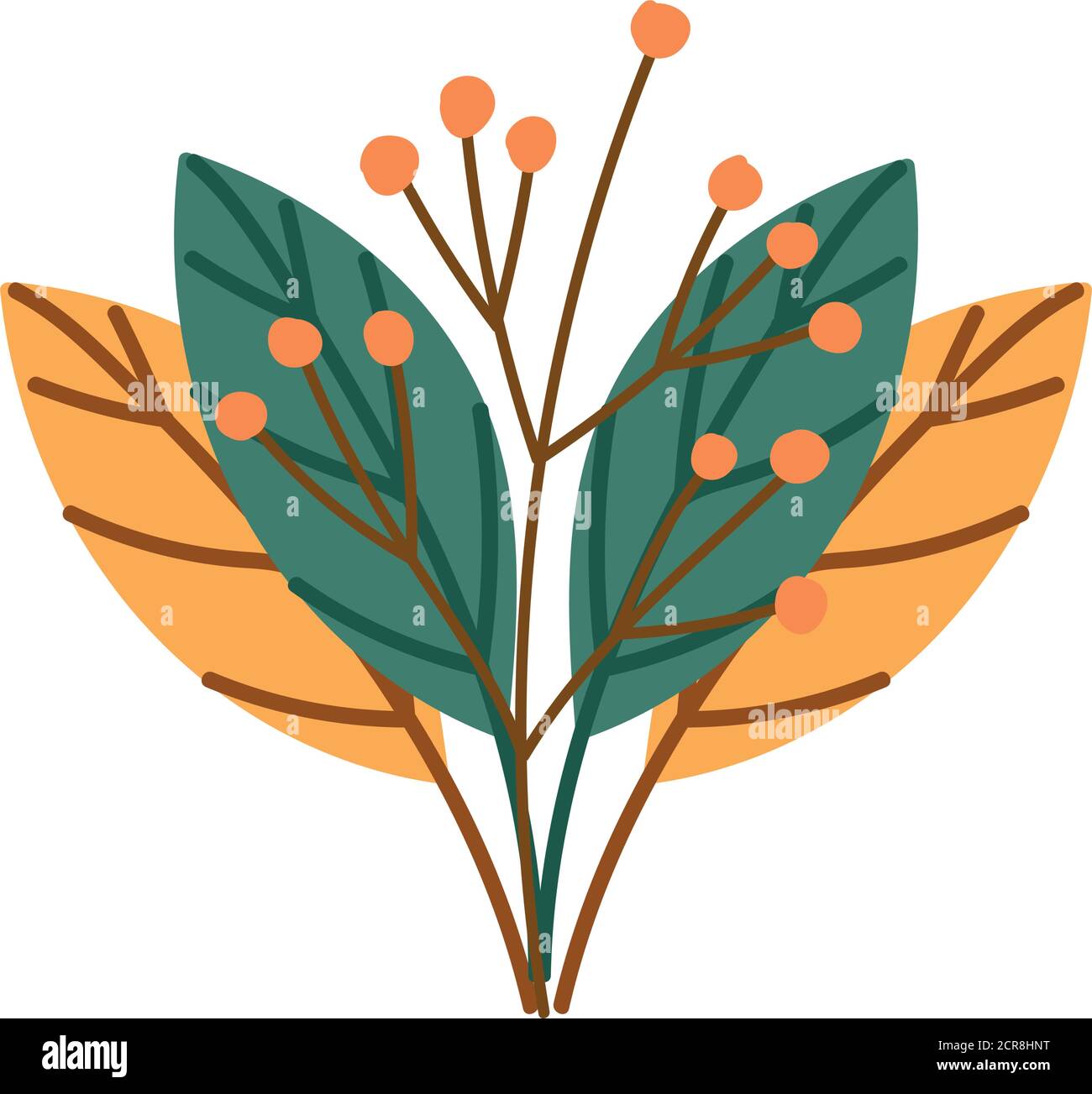 autumn foliage nature leaves isolated design white background vector ...