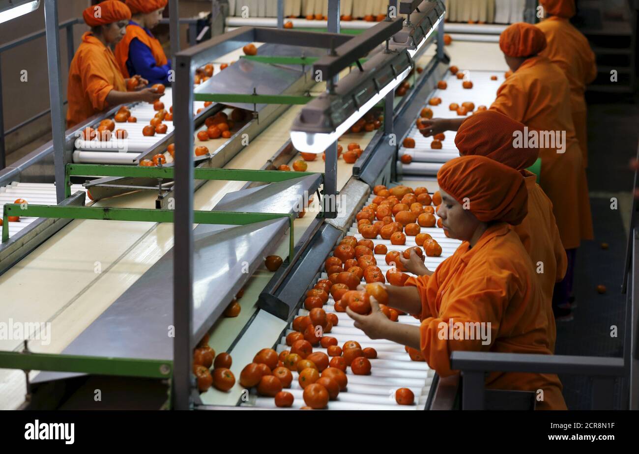 Avocado Plantation Peru High Resolution Stock Photography and Images ...