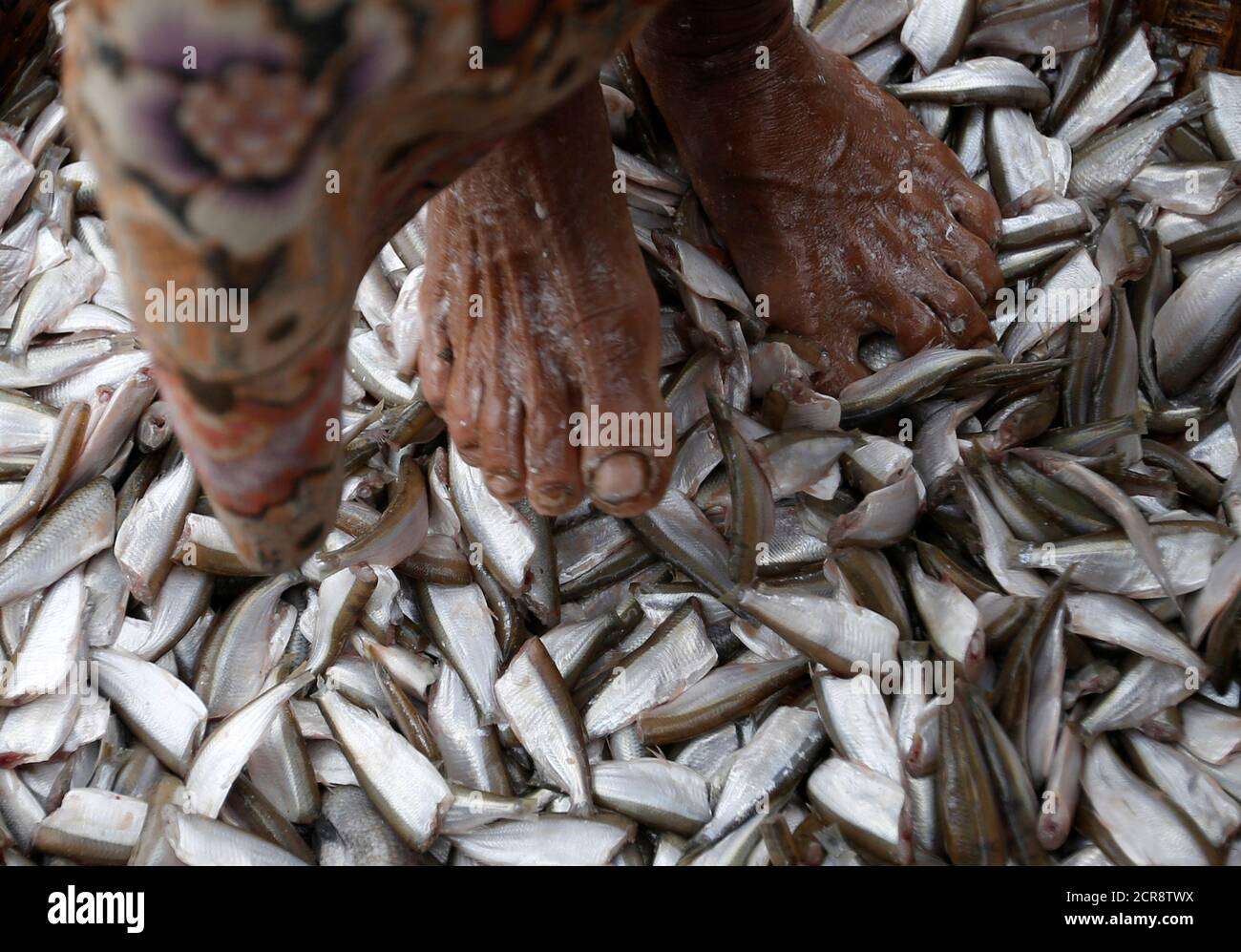 Cambodia fish paste hi-res stock photography and images - Alamy