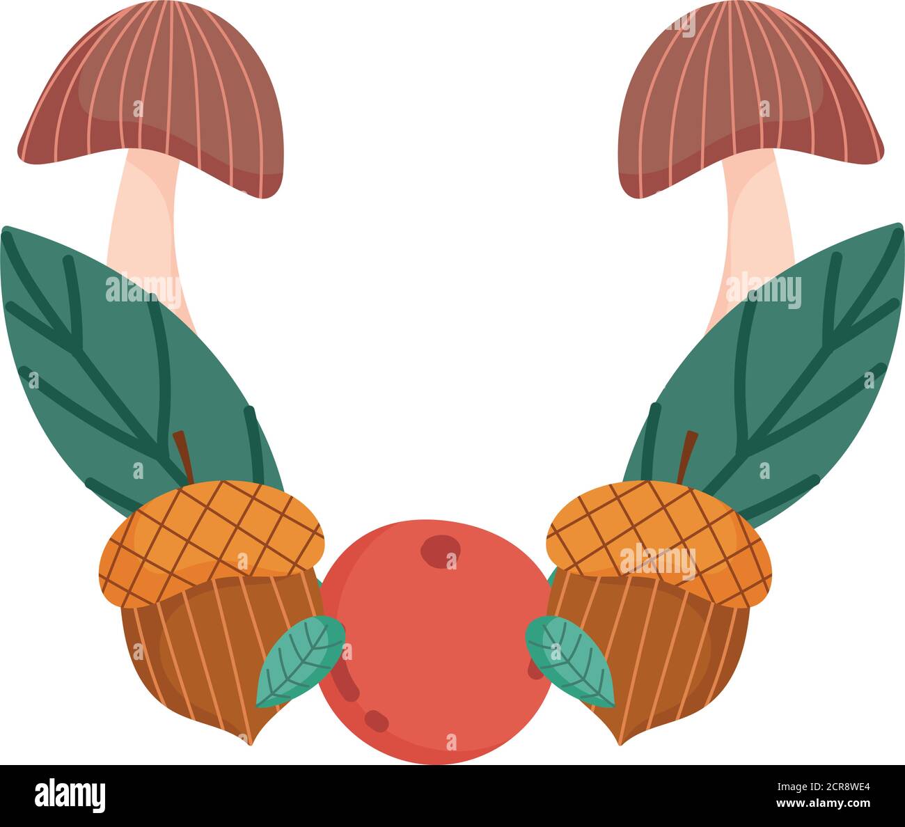 autumn acorns mushrooms fruit leaf isolated design white background ...