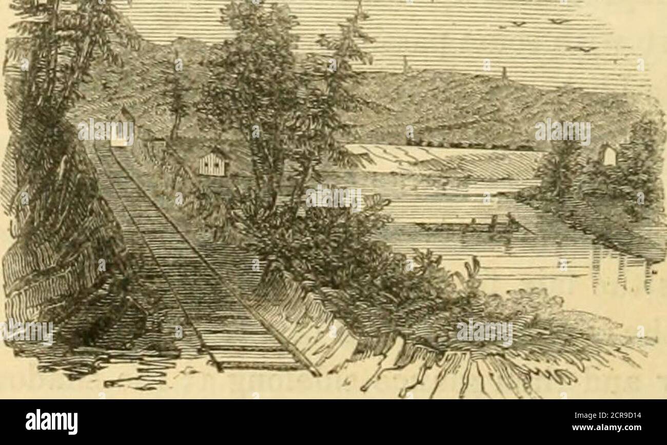 Venile hi-res stock photography and images - Alamy