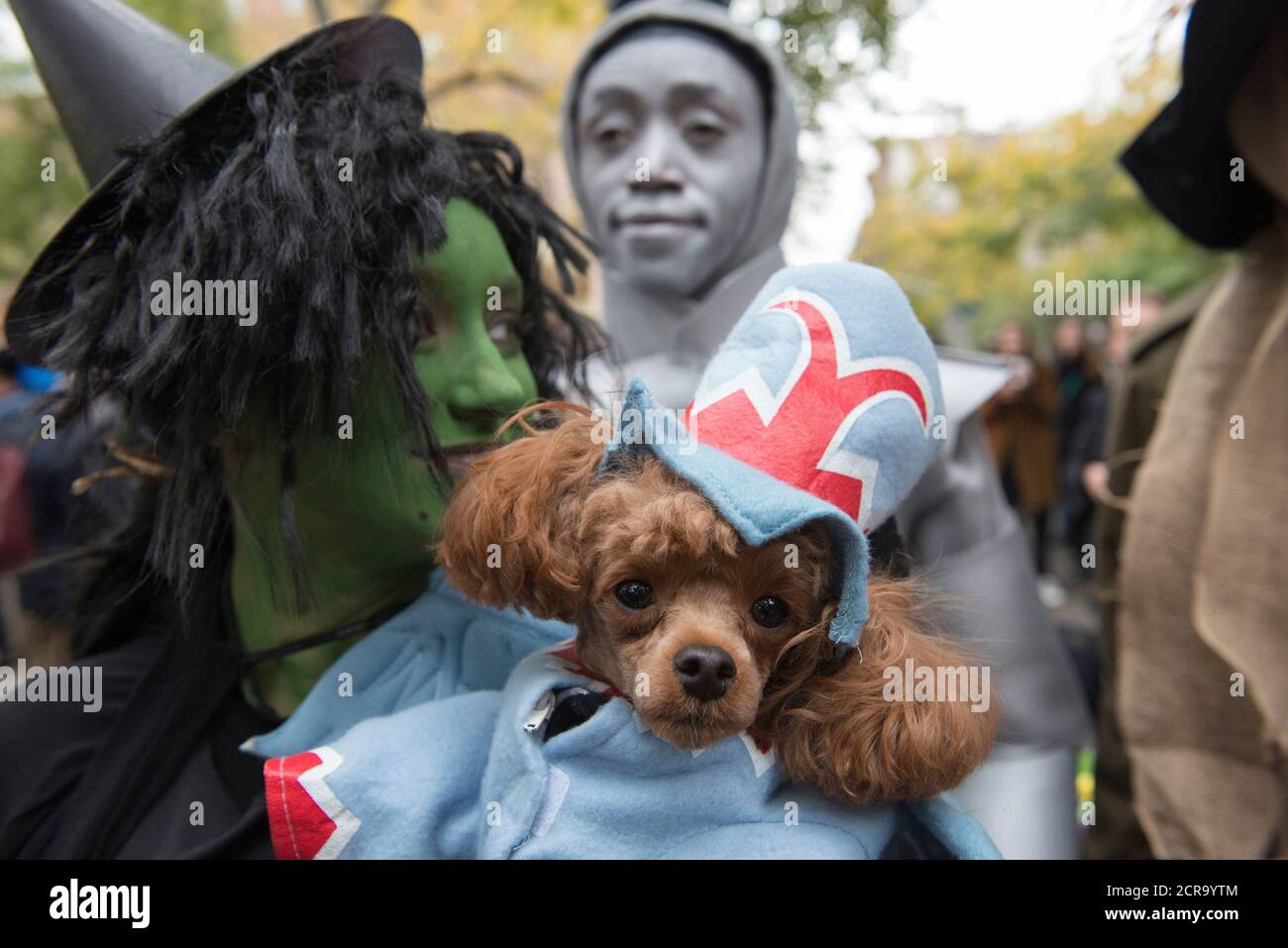 Flying witch from wicked hi-res stock photography and images - Alamy