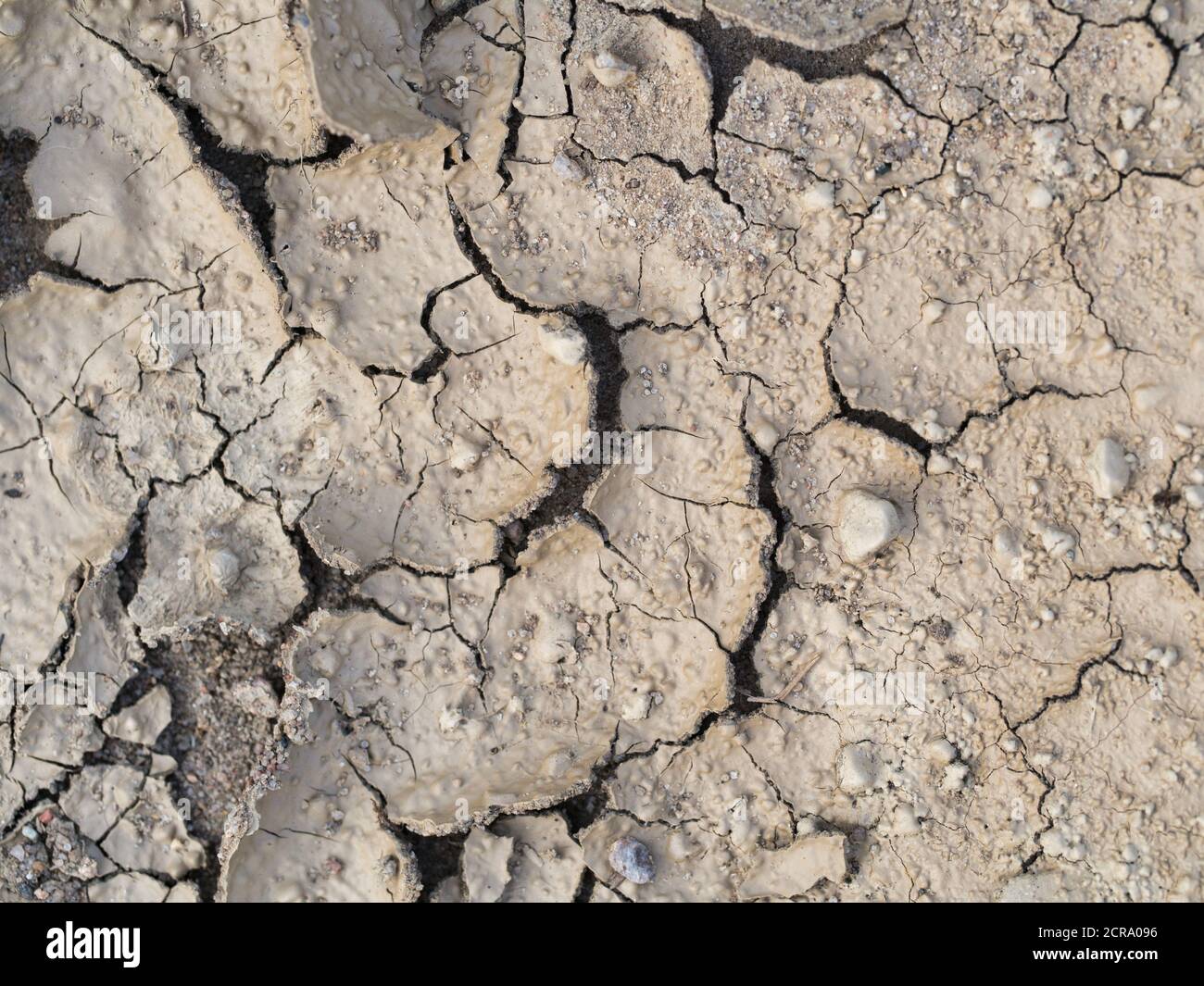 Dried out ground in hi-res stock photography and images - Alamy
