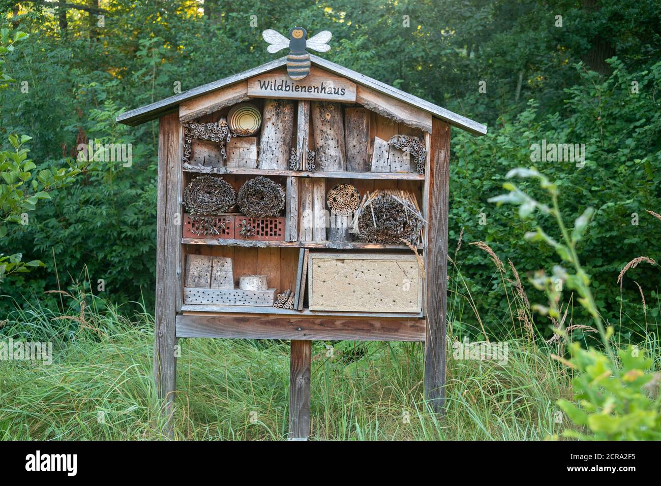 Heritage of schooling hi-res stock photography and images - Alamy