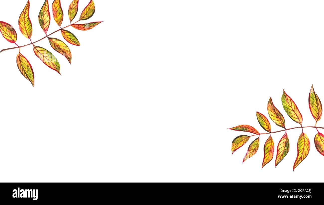 Illustration of autumn leaves. Concept of seasonal. Related to ...