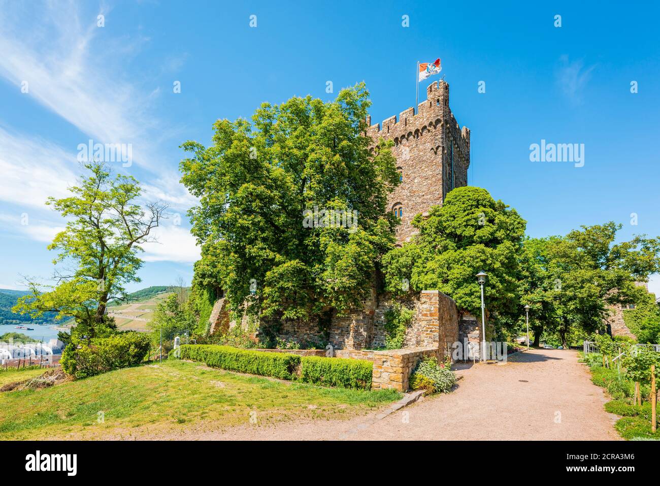 Klopp Castle near Bingen am Rhein, surrounded by vineyards, hilltop ...