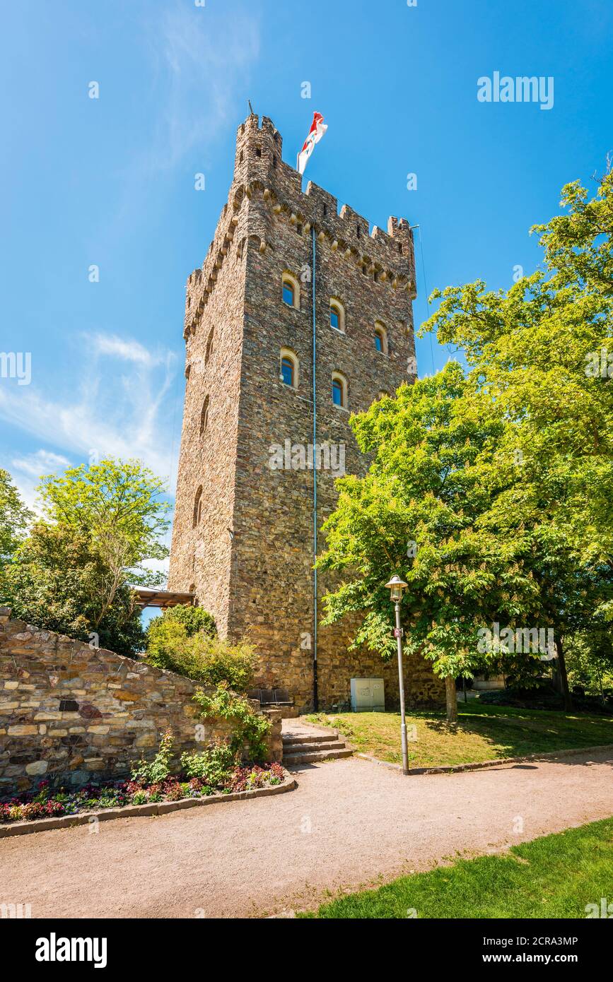 Klopp Castle near Bingen am Rhein, surrounded by vineyards, hilltop ...