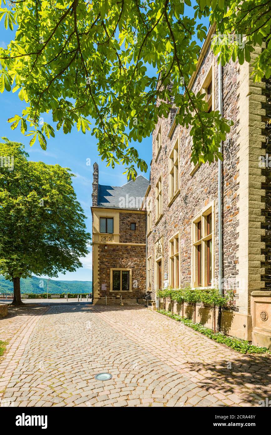 Klopp Castle near Bingen am Rhein, surrounded by vineyards, hilltop ...