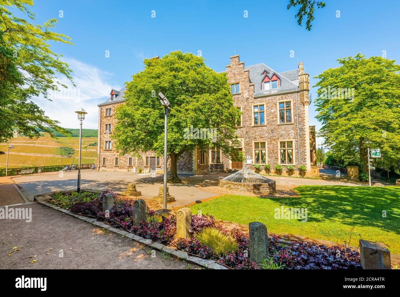 Klopp Castle near Bingen am Rhein, surrounded by vineyards, hilltop ...