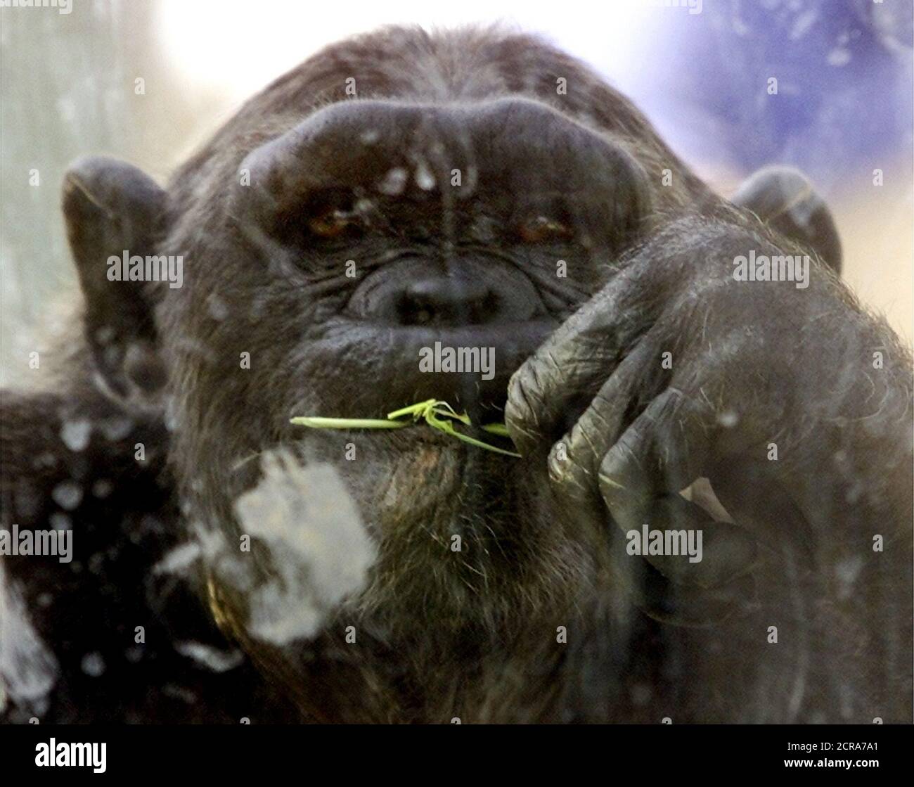 The new scientist magazine hi-res stock photography and images - Alamy