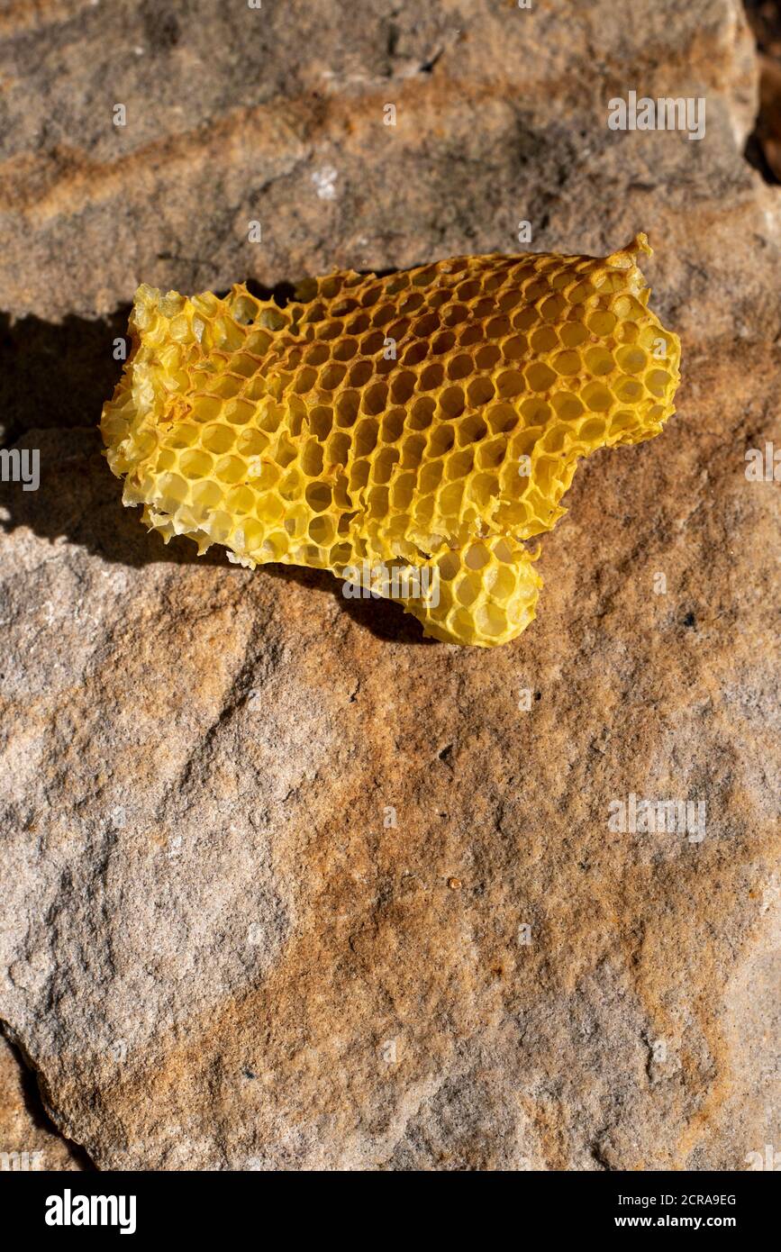Honeycomb work hi-res stock photography and images - Alamy