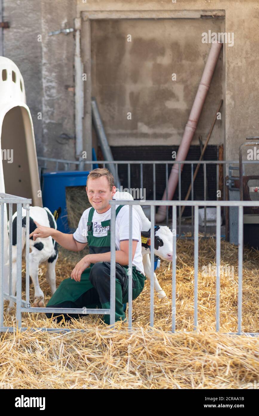 Farmer with cow and calf hi-res stock photography and images - Alamy