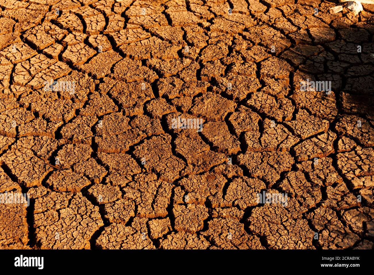Parched lake hi-res stock photography and images - Alamy