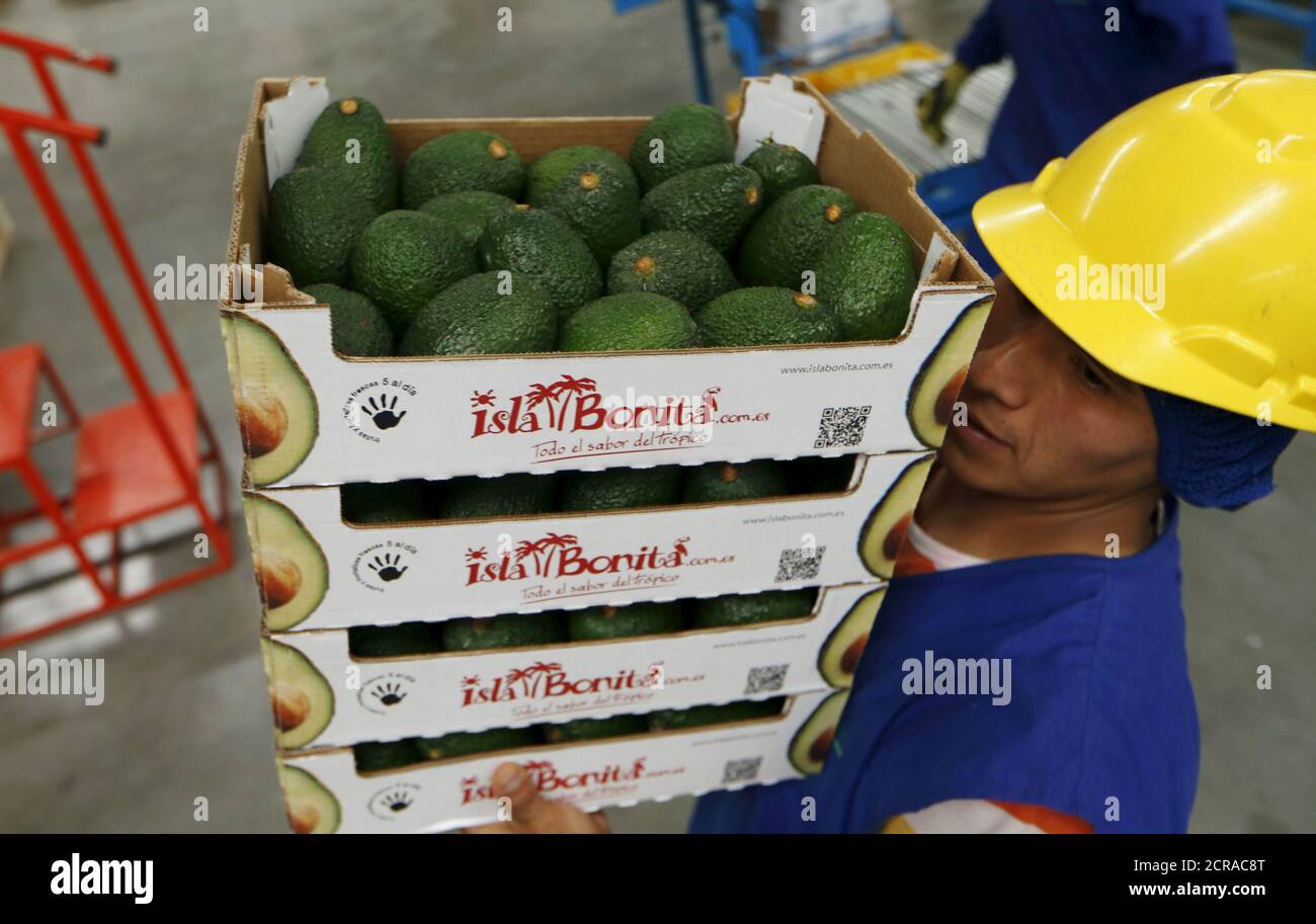 Hoja i hi-res stock photography and images - Alamy