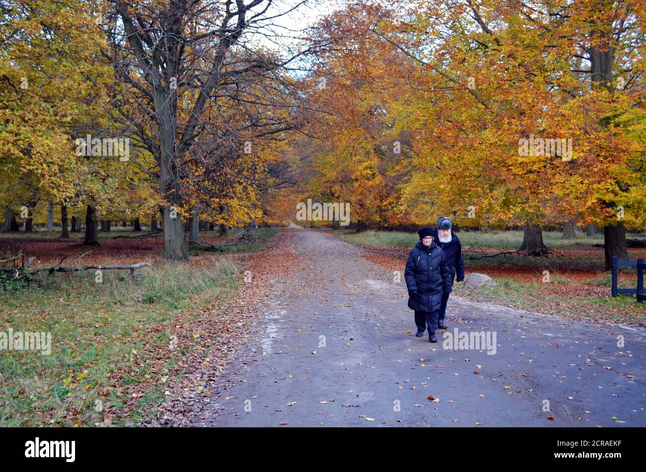 Dyrehaven hi-res stock photography and images - Alamy