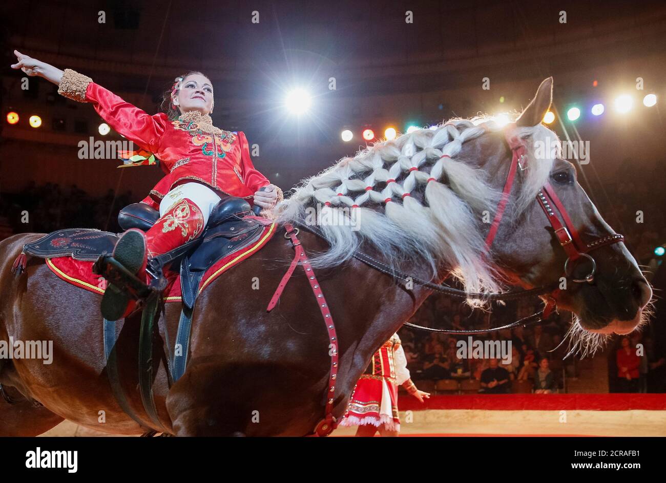 Circus horse trainer hi-res stock photography and images - Alamy