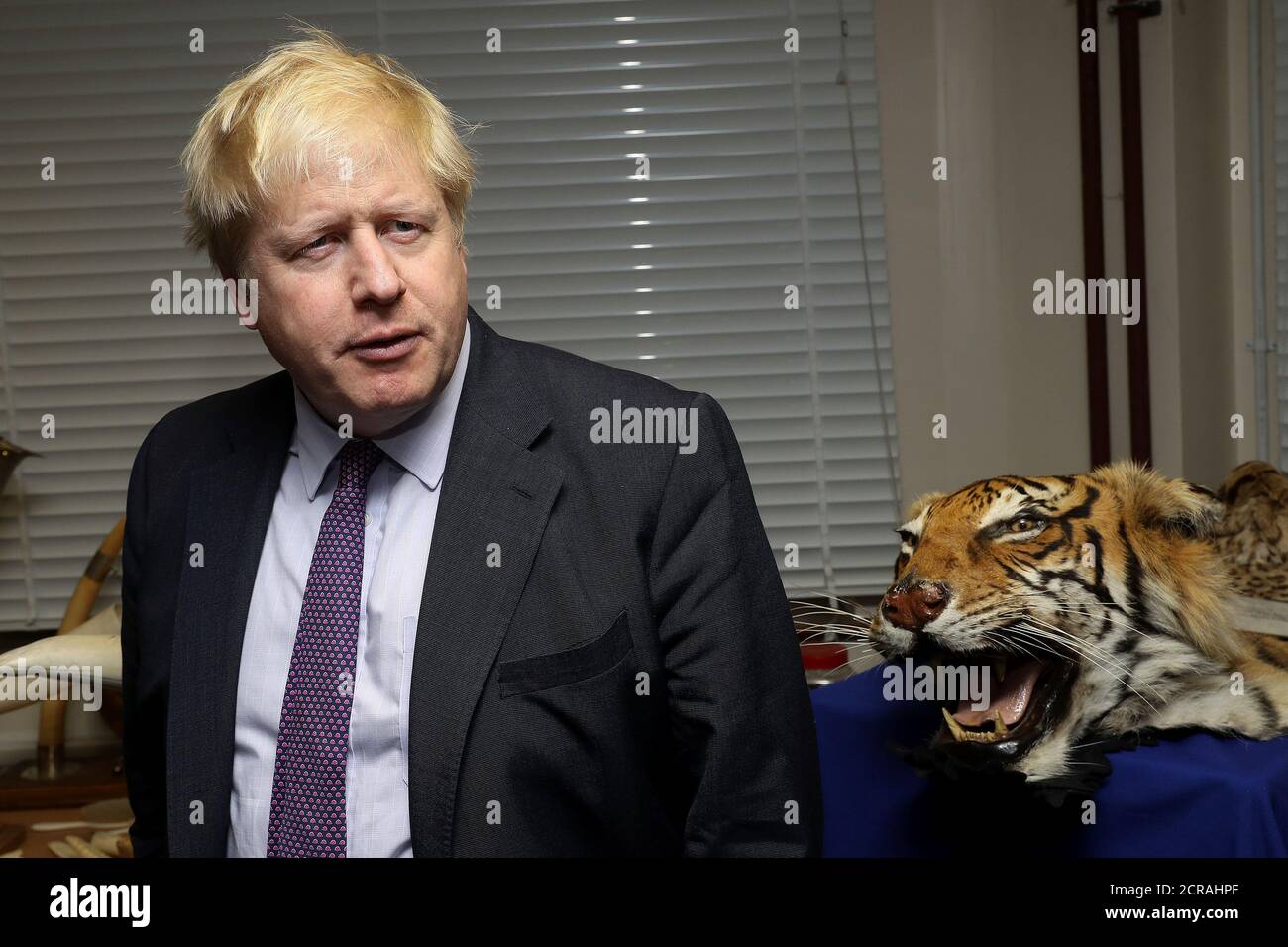 Tiger skin rug hi-res stock photography and images - Alamy