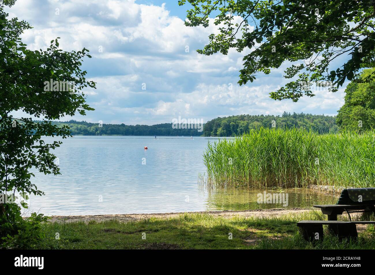 Stechlin Nature Park - Ruppiner Land, Stechlinsee, the largest clear ...