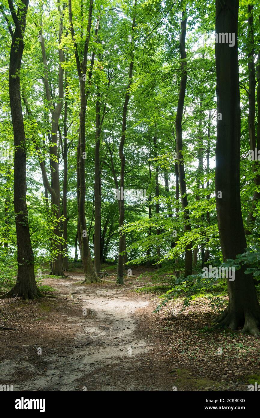 Stechlin Nature Park - Ruppiner Land, Stechlinsee Nature Park, circular ...