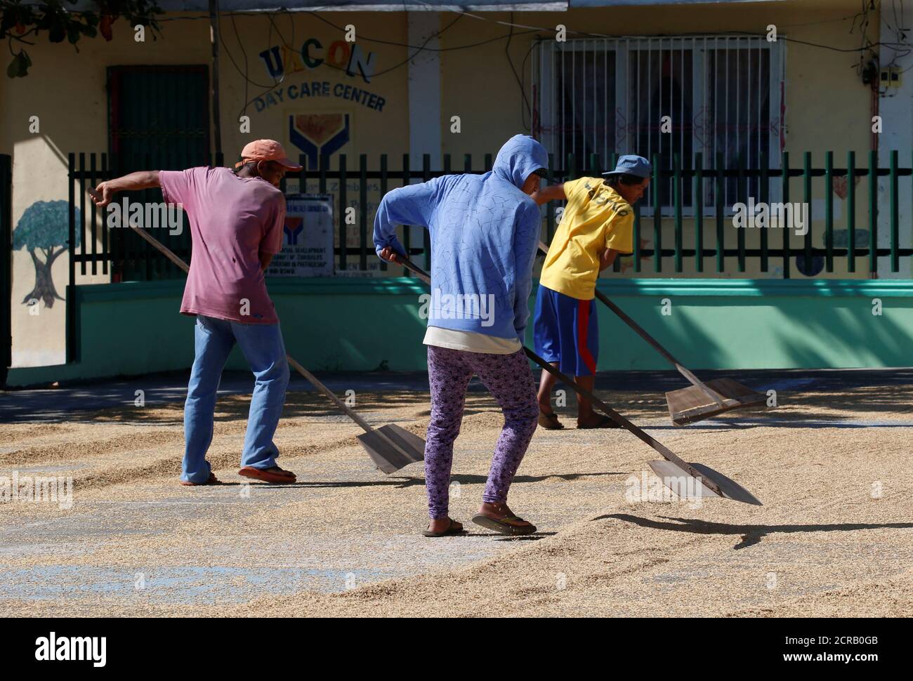 Palay palay hi-res stock photography and images - Alamy