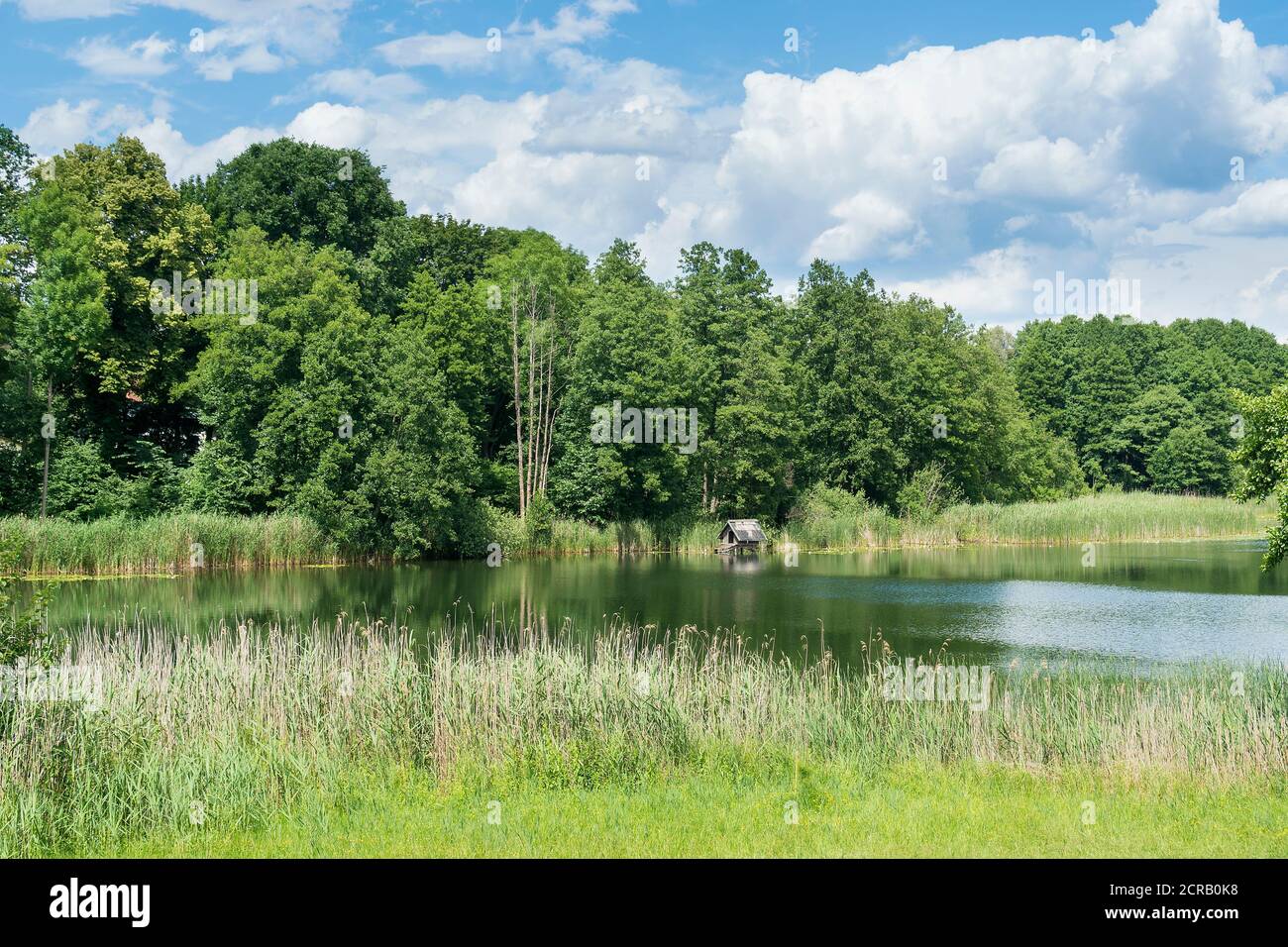 Stechlin nature park - Ruppiner Land, Stechlinsee nature park, lake ...