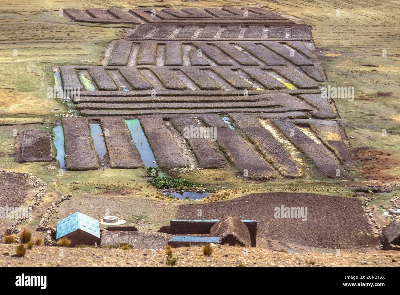 Traditional Agriculture in the Altiplano, near La Paz, Bolivia. Water ...
