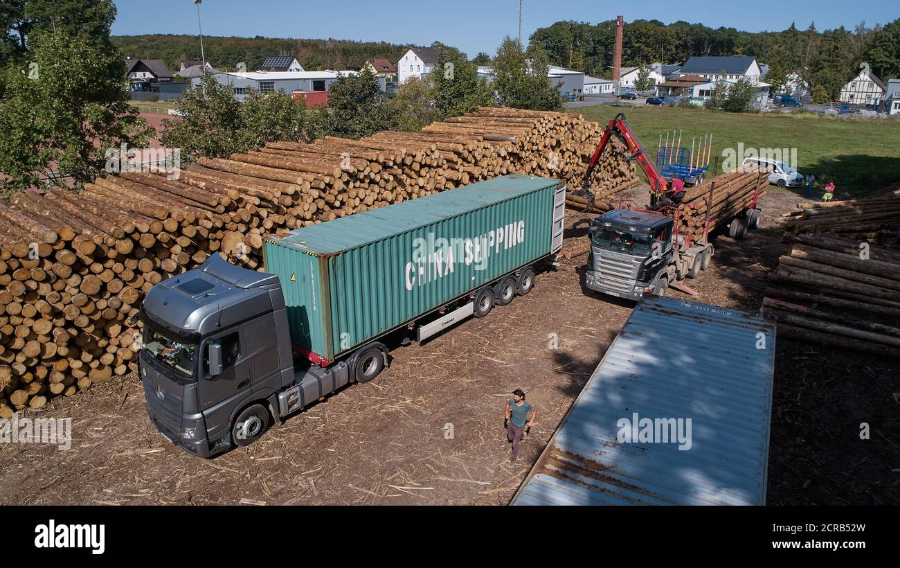 Wissen, Germany. 17th Sep, 2020. Spruce wood is loaded into overseas ...