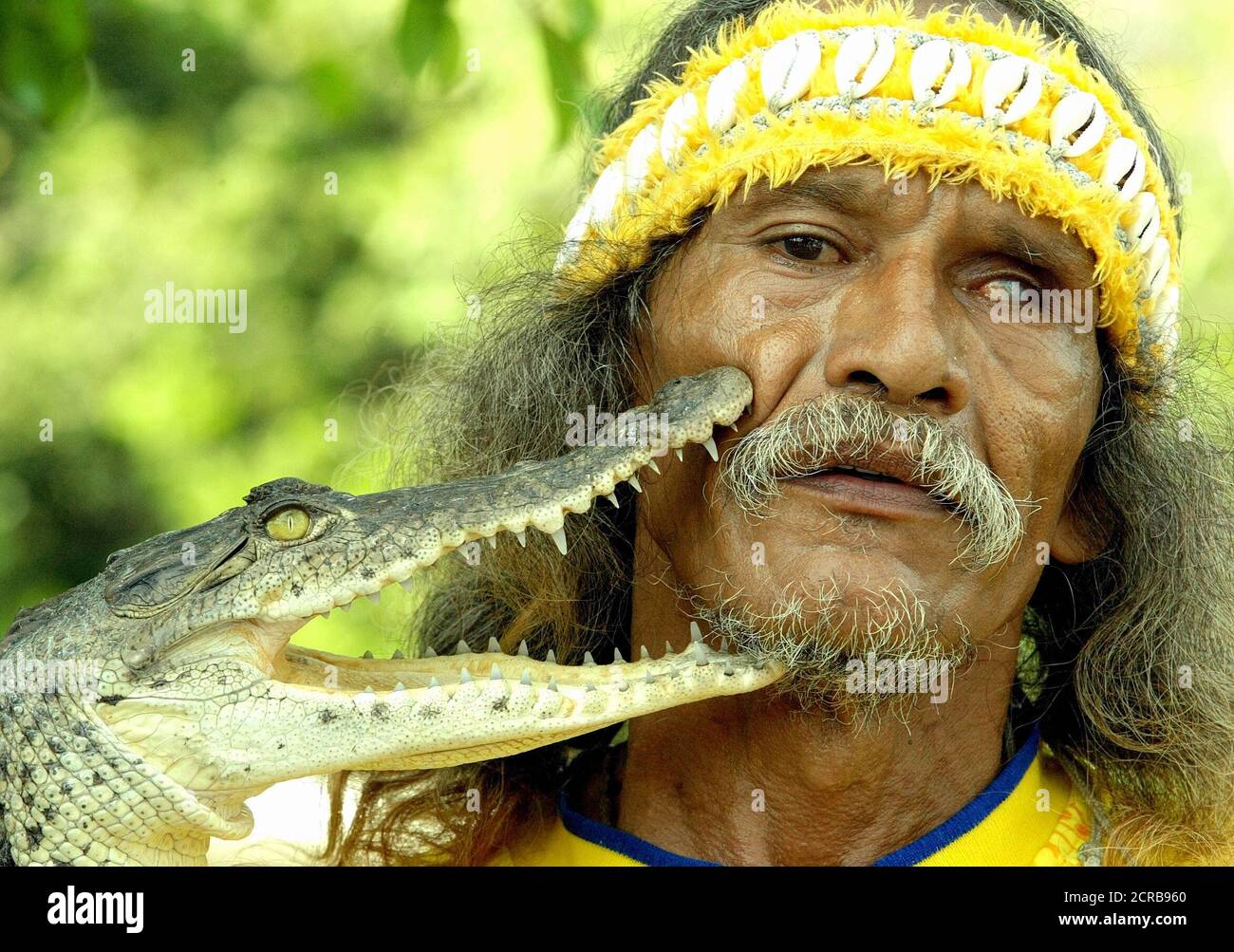 Tamed crocodile hi-res stock photography and images - Alamy