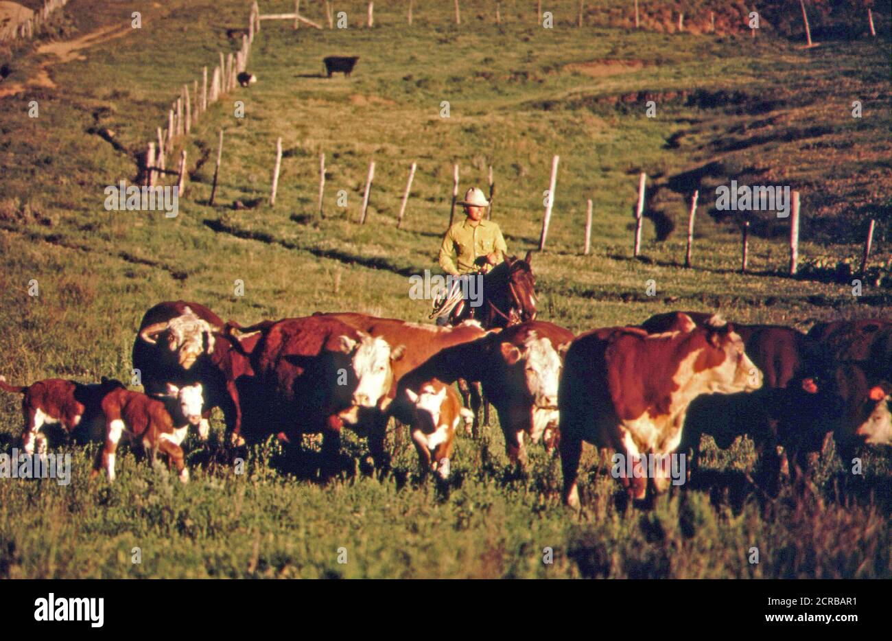 American ranch 1970s hi-res stock photography and images - Alamy