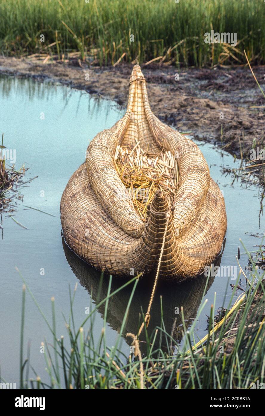 Lake Titicaca, Bolivia. Totora Reed Boat Stock Photo - Alamy