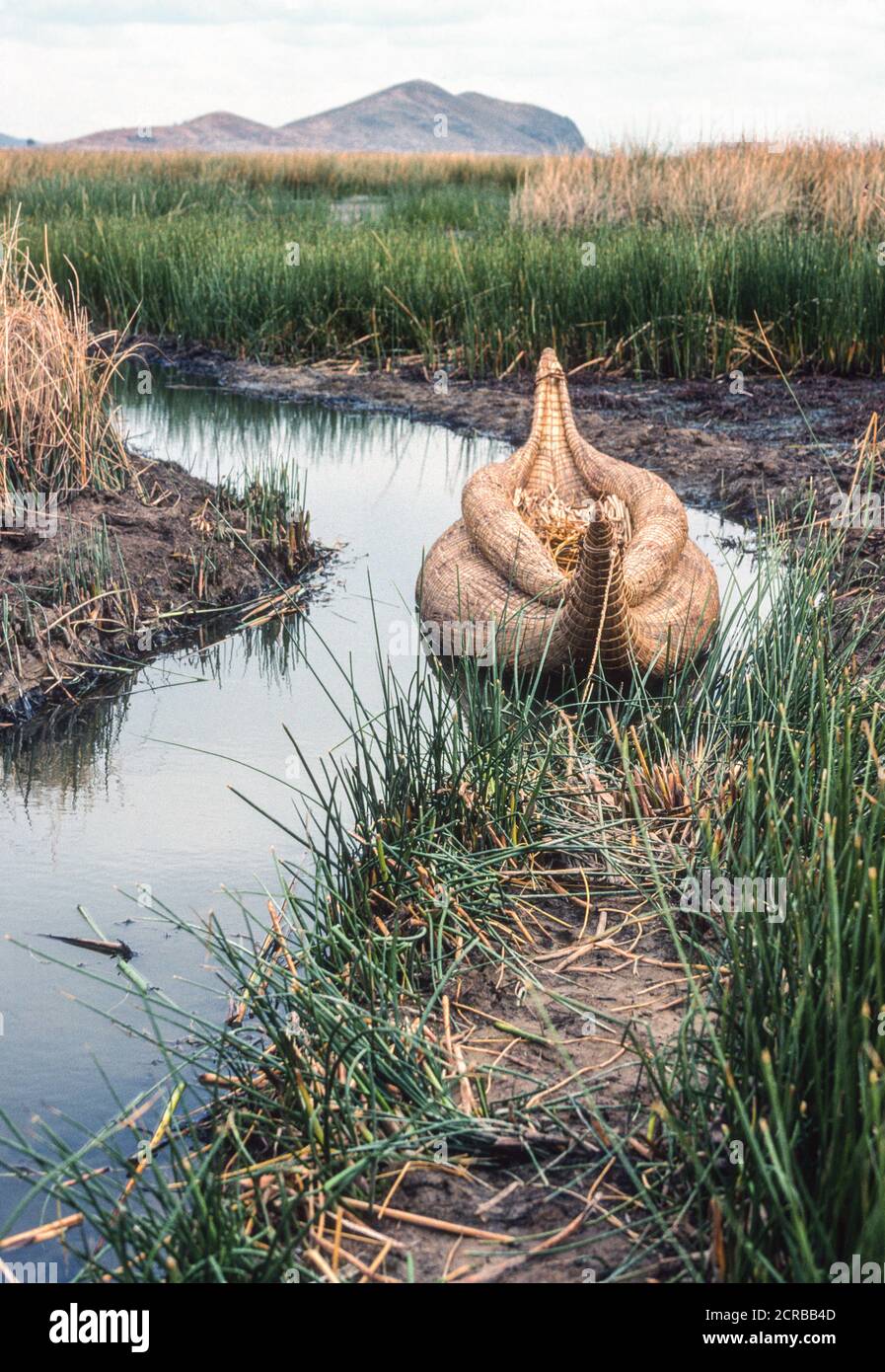 Lake Titicaca, Bolivia. Totora Reed Boat Stock Photo - Alamy