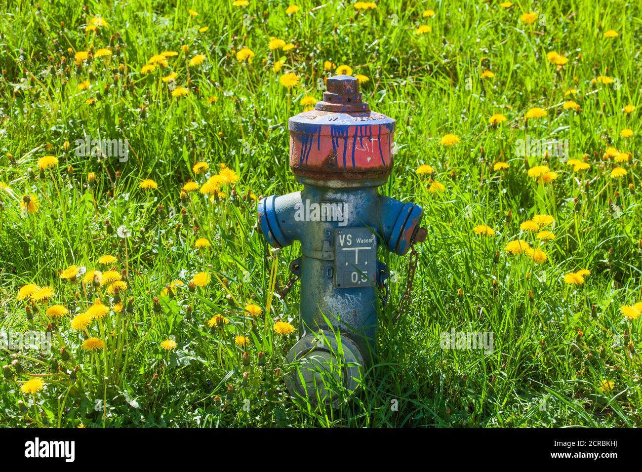Meadow, flower meadow, spring, hydrant, fire hydrant, water, water tap ...