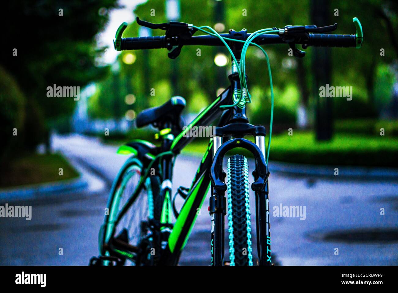 Upper half of a green bicycle Stock Photo - Alamy