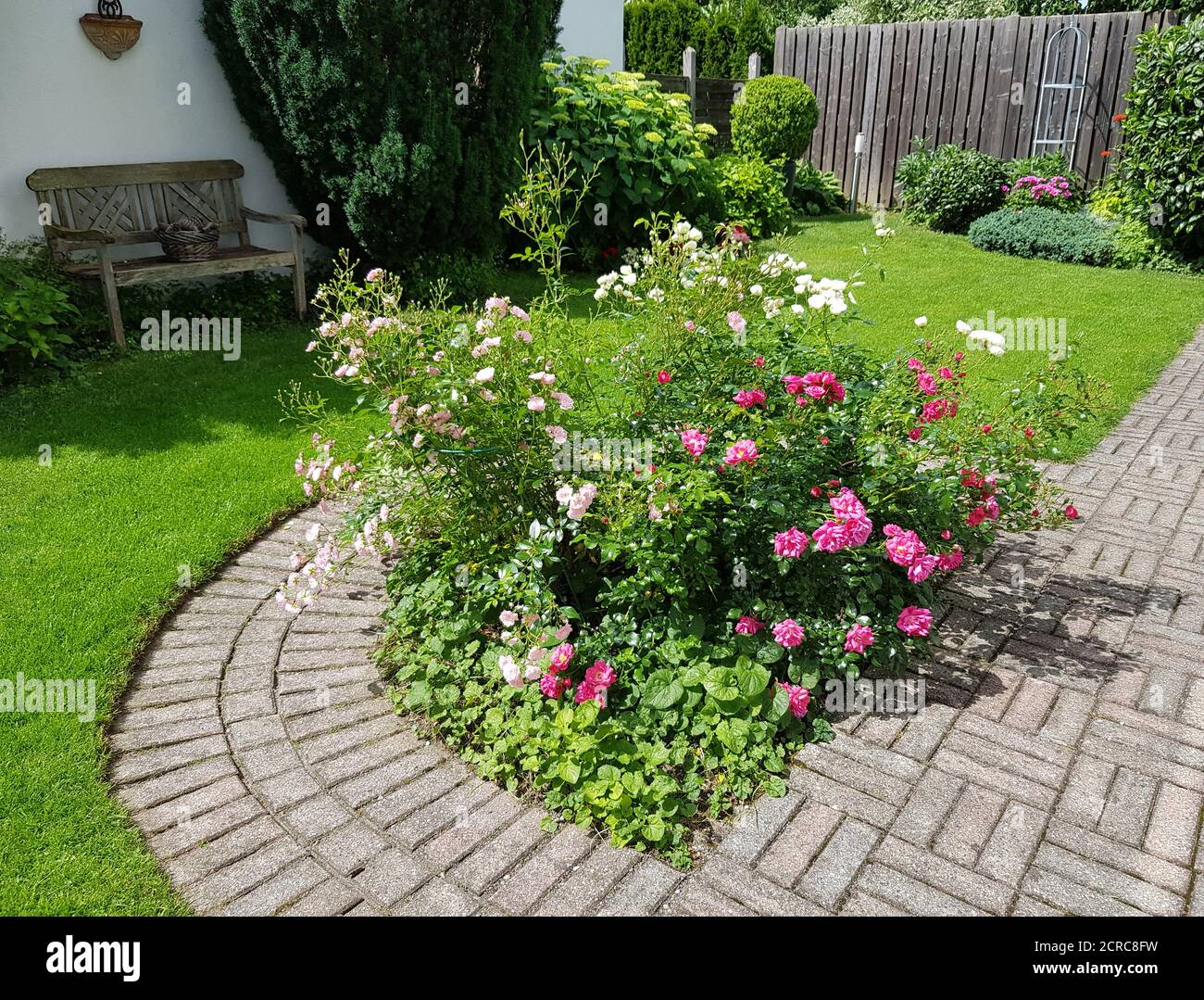 Munich, garden, rose arrangement, roundabout, wooden bench in front of ...