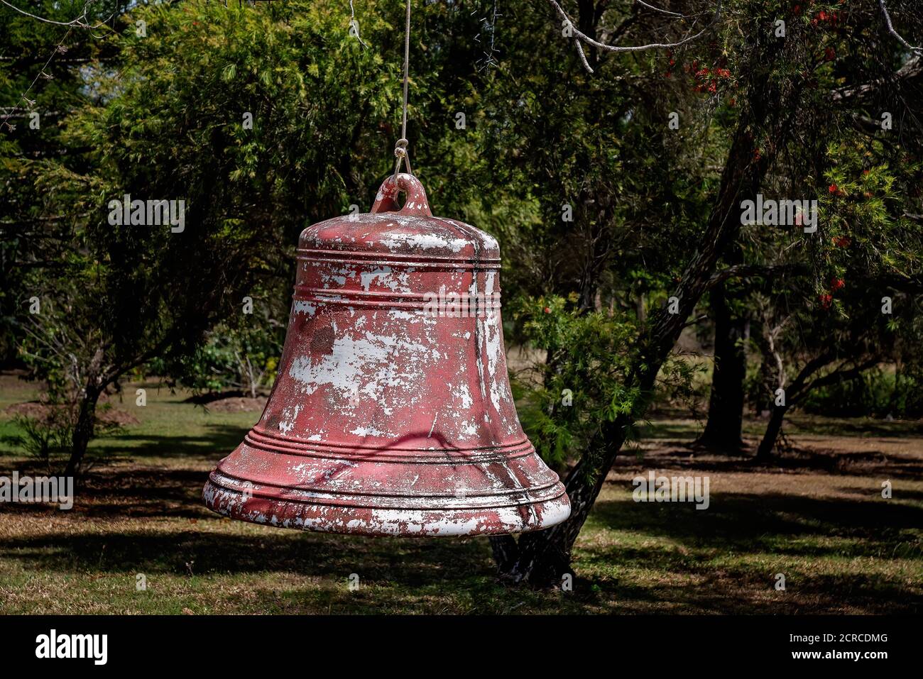 Bell hanging from tree hi-res stock photography and images - Alamy