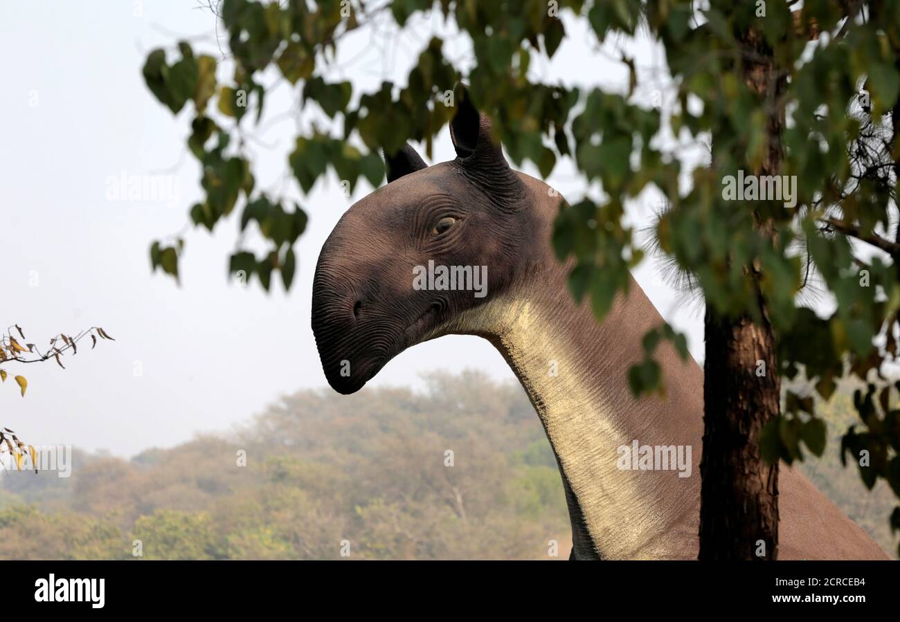 Islamabad Museum High Resolution Stock Photography and Images - Alamy